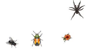 Hacker Typer Screen - Prank | Fake Coding & Hacker Simulator