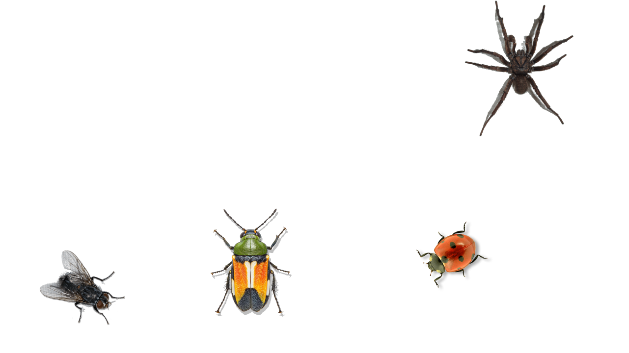 Bug on Screen Prank | Fake Error & Fun Prank Simulator